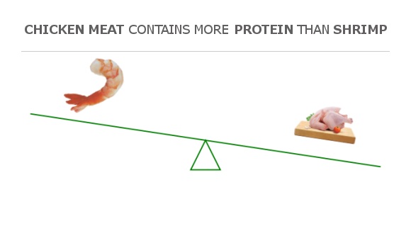 Compare Protein in Shrimp to Protein in Chicken meat