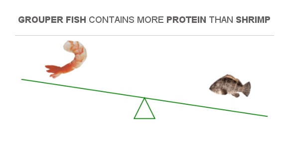 Compare Protein in Shrimp to Protein in Grouper fish