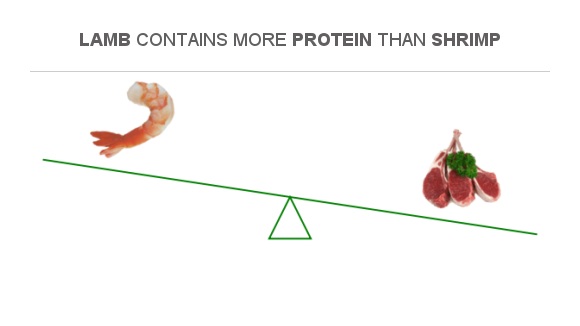 Compare Protein in Shrimp to Protein in Lamb