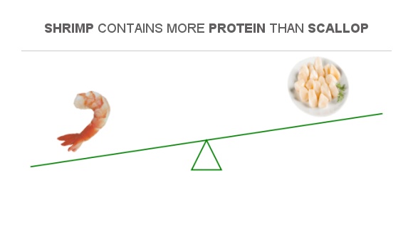 Compare Protein in Shrimp to Protein in Scallops