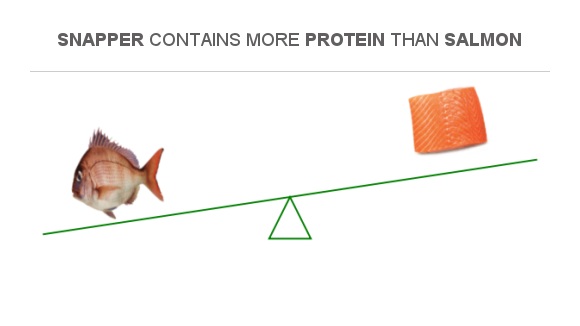Compare Protein in Snapper to Protein in Salmon