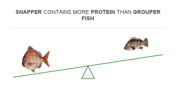 Compare Protein in Snapper to Protein in Grouper