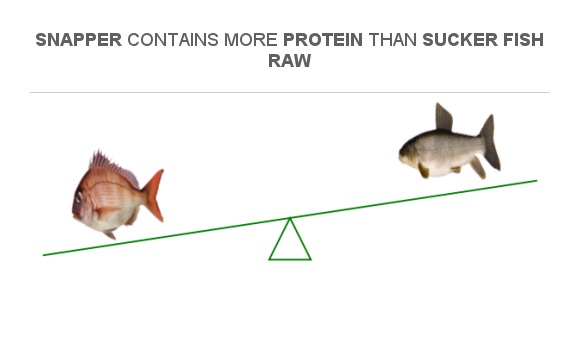 Compare Protein in Snapper to Protein in Sucker fish raw