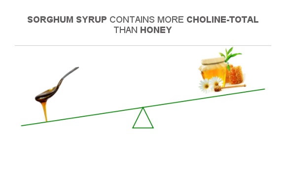 Compare Choline in Sorghum syrup to Choline in Honey