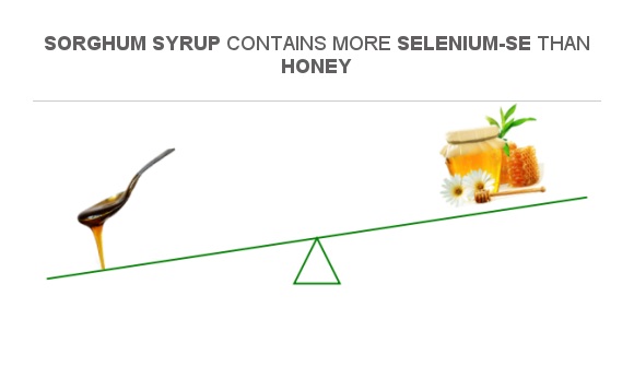 Compare Selenium in Sorghum syrup to Selenium in Honey