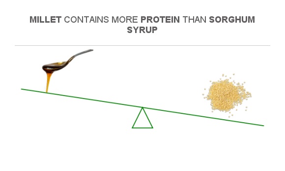 Compare Protein in Sorghum syrup to Protein in Millet