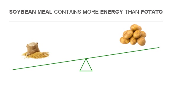 Compare Calories in Soybean meal to Calories in Potato