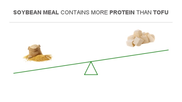 Compare Protein in Soybean meal to Protein in Tofu