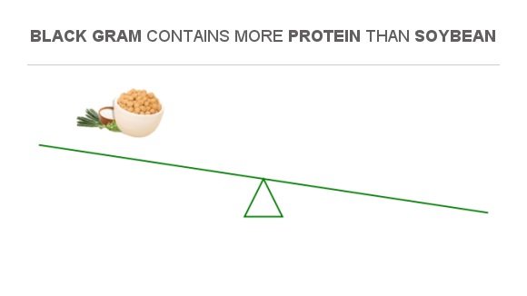 Compare Protein in Soybean to Protein in Black gram