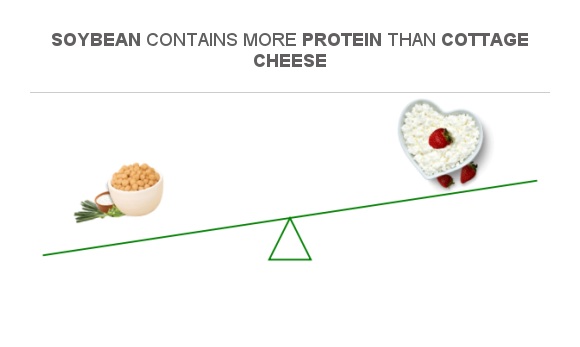 Compare Protein in Soybean to Protein in Cottage cheese