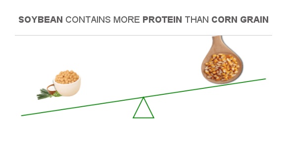 Compare Protein in Soybean to Protein in Corn grain Compare Protein in Soybean to Protein in Corn grain