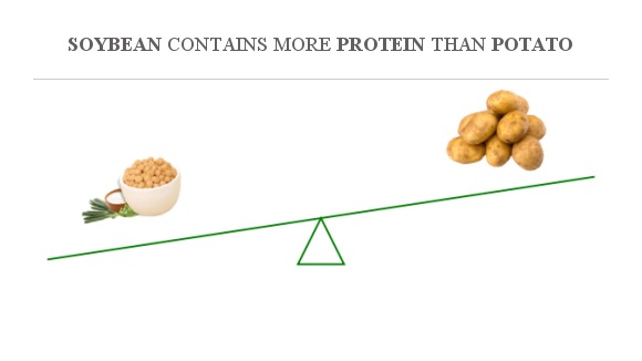 Compare Protein in Soybean to Protein in Potato