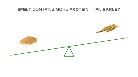 Compare Protein in Spelt to Protein in Barley