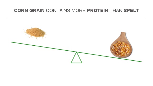 Compare Protein in Spelt to Protein in Corn grain