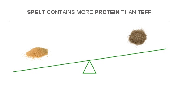 Compare Protein in Spelt to Protein in Teff