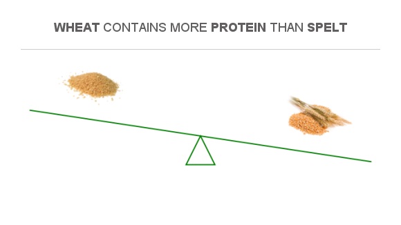 Compare Protein in Spelt to Protein in Wheat