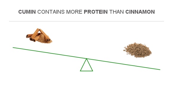 Compare Protein in Cinnamon to Protein in Cumin