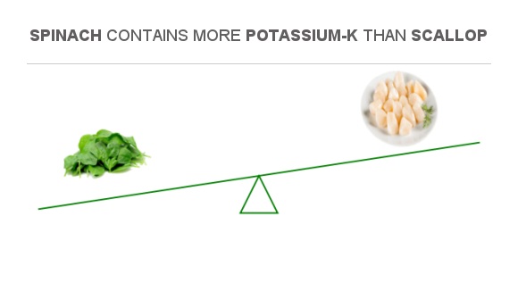 Compare Potassium in Spinach to Potassium in Scallop