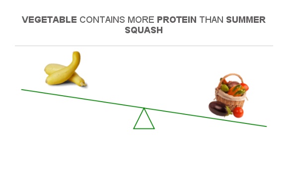 Compare Protein in Summer squash to Protein in Vegetable
