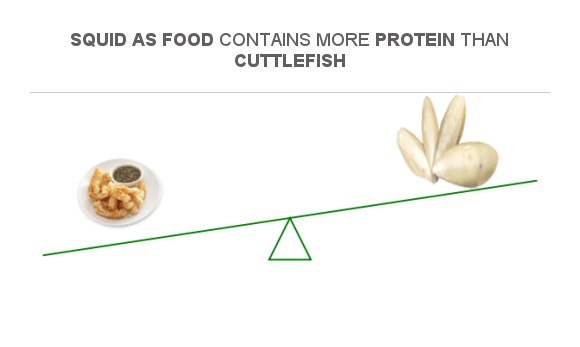 Compare Protein in Squid to Protein in Cuttlefish