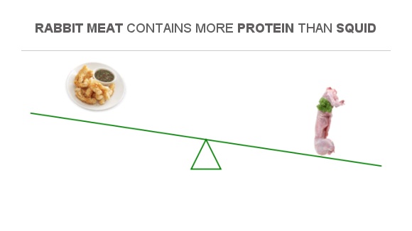 Compare Protein in Squid to Protein in Rabbit Meat