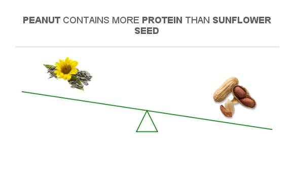 Compare Protein in Sunflower seeds to Protein in Peanut