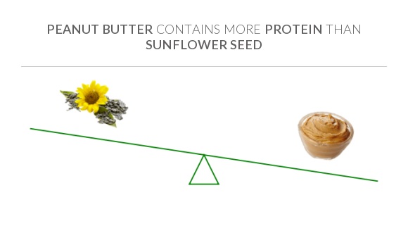 Compare Protein in Sunflower seeds to Protein in Peanut butter