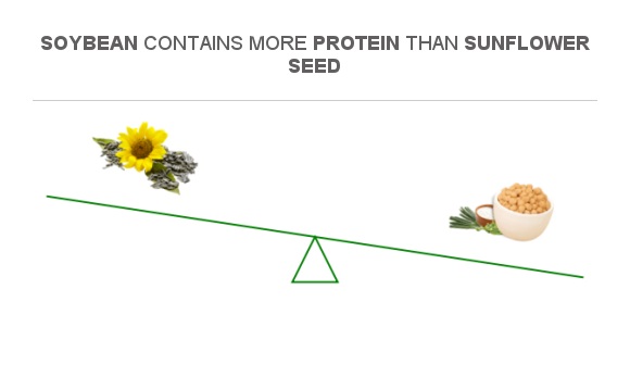 Compare Protein in Sunflower seed to Protein in Soybean