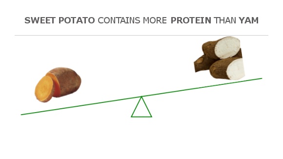 Compare Protein in Sweet potato to Protein in Yam