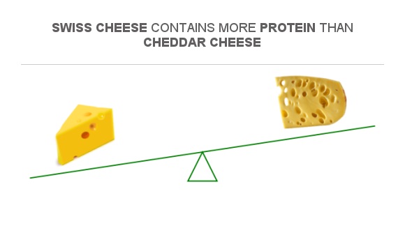 Compare Protein in Swiss cheese to Protein in Cheddar Cheese