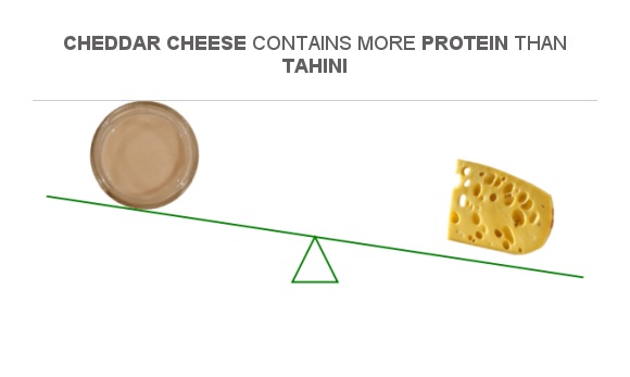 Compare Protein in Tahini to Protein in Cheese