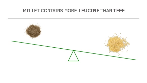 Compare Leucine in Teff to Leucine in Millet Compare Leucine in Teff to Leucine in Millet