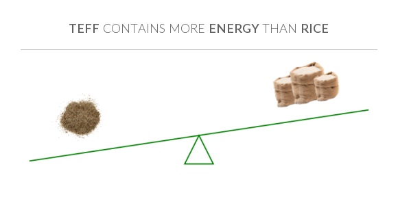 Compare Calories in Teff to Calories in Rice