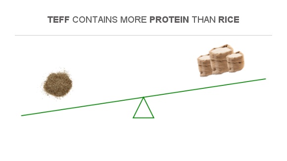 Compare Protein in Teff to Protein in Rice