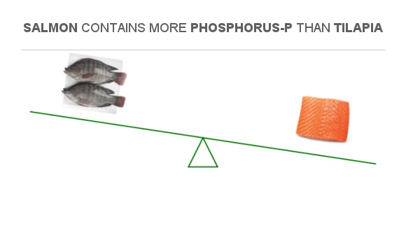 Compare Phosphorus in Tilapia to Phosphorus in Salmon