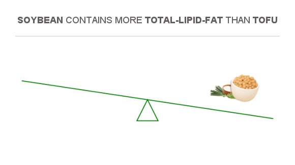 Compare Fats in Tofu to Fats in Soybean