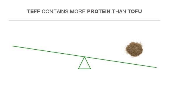 Compare Protein in Tofu to Protein in Teff