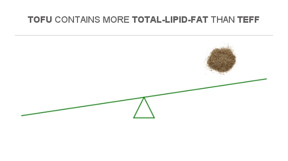 Compare Fats in Tofu to Fats in Teff