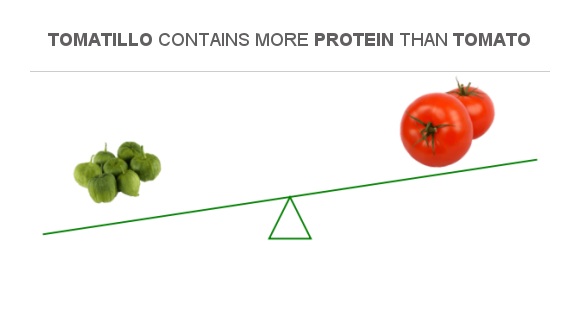 Compare Protein in Tomatillo to Protein in Tomato