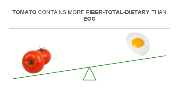 Compare Fiber in Tomato to Fiber in Egg