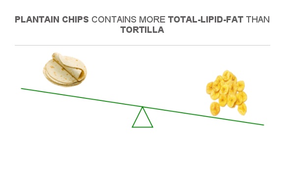 Compare Fats in Tortilla to Fats in Plantain chips