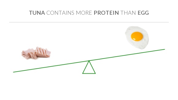 Compare Protein in Tuna to Protein in Egg