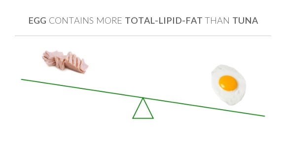 Compare Fats in Tuna to Fats in Egg