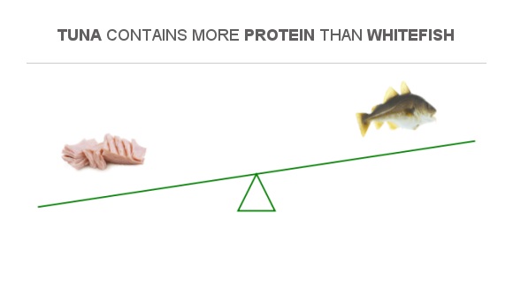 Compare Protein in Tuna to Protein in Whitefish