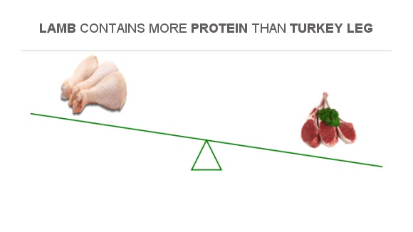 Compare Protein in Turkey leg to Protein in Lamb
