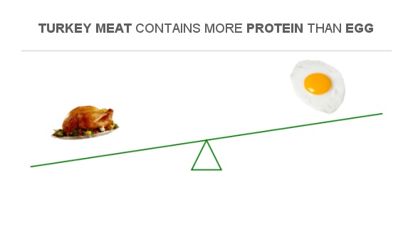 Compare Protein in Turkey meat to Protein in Egg