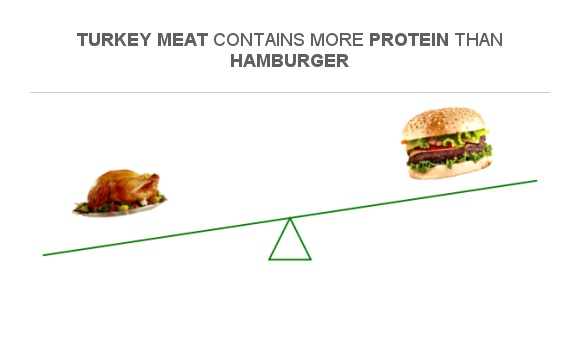 Compare Protein in Turkey meat to Protein in Hamburger