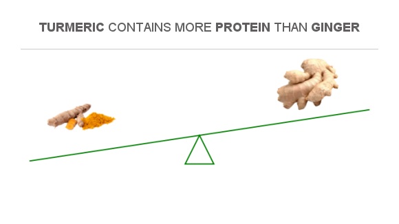 Compare Protein in Turmeric to Protein in Ginger