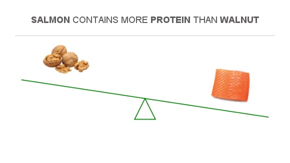 Compare Protein in Walnut to Protein in Salmon