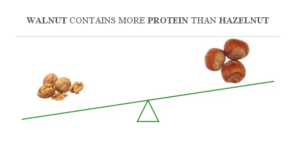 Compare Protein in Walnut to Protein in Hazelnut